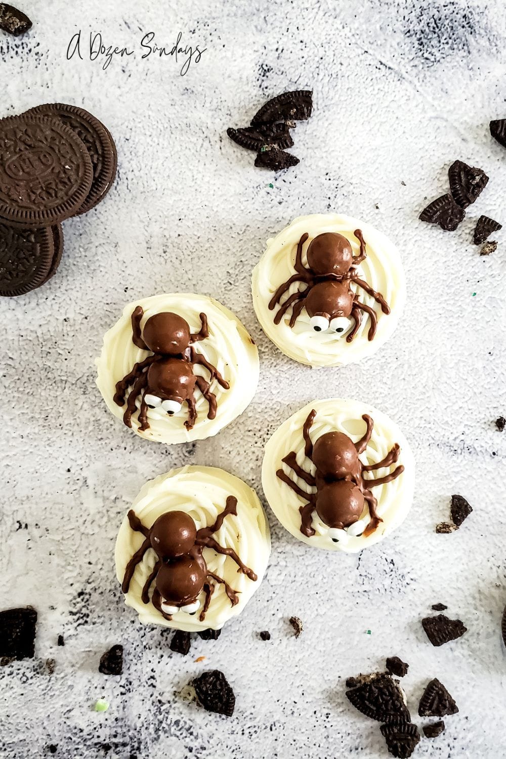 Chocolate Covered Oreo Spiders - A Dozen Sundays