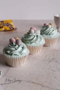 Robin Egg Cupcakes - A Dozen Sundays
